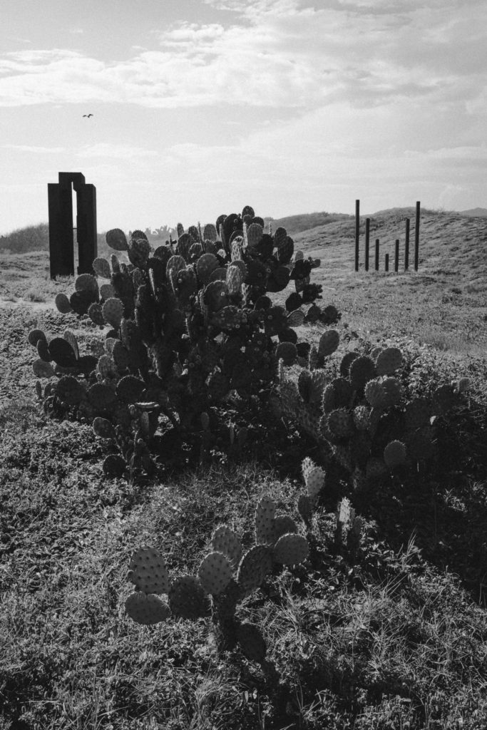 Materia - MUSA, UTOPIA UNDER CONSTRUCTION